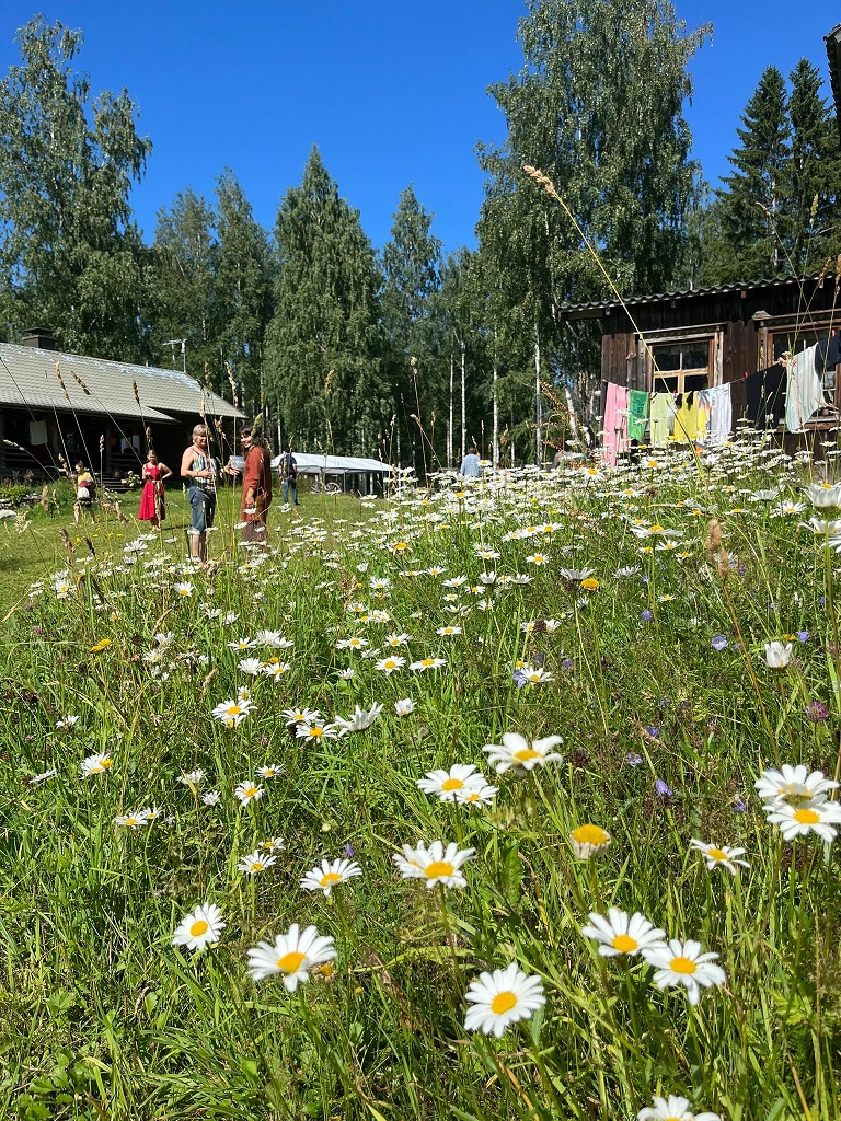 Kuka kertoisi – Bonis Avibus